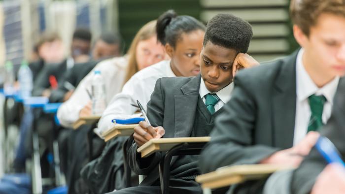 Learning from TAGs: Assessment design | ESS SIMS