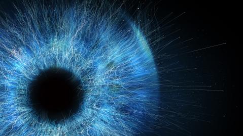 Our products and services | ESS SIMS